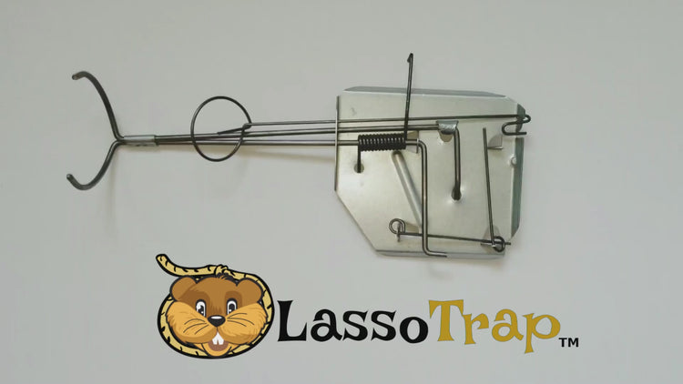 Lasso Trap